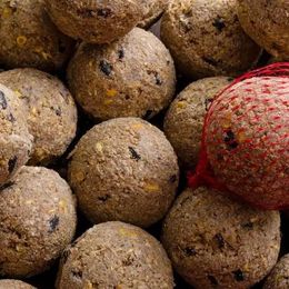 Meisenkn&ouml;del mit Insekten, 100 St&uuml;ck, Vogelfutter, Fettfutter