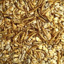20 kg Deluxe Vogelfutter mit Mehlw&uuml;rmern schalenlos f&uuml;r Wildv&ouml;gel