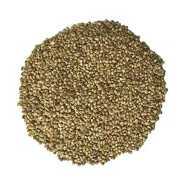 Hanfsaat 10kg f&uuml;r V&ouml;gel, Nager und Pferde