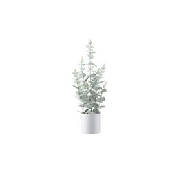 H&ouml;ffner Eukalyptus getopft &brvbar; gr&uuml;n &brvbar; Kunststoff &brvbar; Ma&szlig;e (cm): H: 52 &raquo; H&ouml;ffner