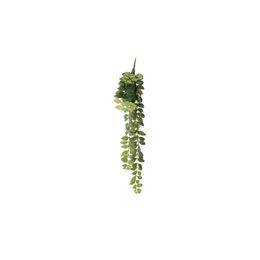H&ouml;ffner Columnea Ranke &brvbar; gr&uuml;n &brvbar; Kunststoff &brvbar; Ma&szlig;e (cm): H: 85 &raquo; H&ouml;ffner