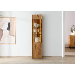Vitrine Wildeiche 45x38x200 natur ge&ouml;lt WIEN #231