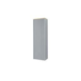 M&ouml;bel Kraft H&auml;ngeschrank grau Ma&szlig;e (cm): B: 54 H: 170 T: 31.0 &raquo; M&ouml;bel Kraft