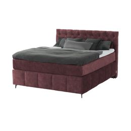 Jette Home Boxspringbett Glam New rot Ma&szlig;e (cm): B: 202 H: 132,5 &raquo; M&ouml;bel Kraft