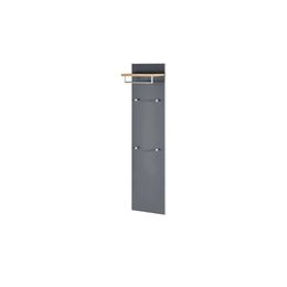 M&ouml;bel Kraft Garderobenpaneel grau Glas,Holzwerkstoff Ma&szlig;e (cm): B: 42 H: 170 T: 27.0 &raquo; M&ouml;bel Kraft