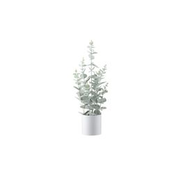 M&ouml;bel Kraft Eukalyptus getopft gr&uuml;n Kunststoff Ma&szlig;e (cm): H: 52 &raquo; M&ouml;bel Kraft