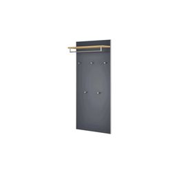 M&ouml;bel Kraft Garderobenpaneel grau Glas,Holzwerkstoff Ma&szlig;e (cm): B: 80 H: 170 T: 27.0 &raquo; M&ouml;bel Kraft