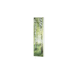 M&ouml;bel Kraft Mehrzweckschrank gr&uuml;n Ma&szlig;e (cm): B: 48 H: 191 T: 20.0 &raquo; M&ouml;bel Kraft
