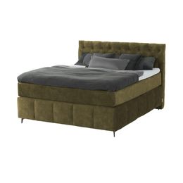 Jette Home Boxspringbett Glam New gr&uuml;n Ma&szlig;e (cm): B: 162 H: 132,5 &raquo; M&ouml;bel Kraft