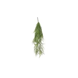M&ouml;bel Kraft Asparagus H&auml;nger gr&uuml;n Kunststoff Ma&szlig;e (cm): H: 80 &raquo; M&ouml;bel Kraft