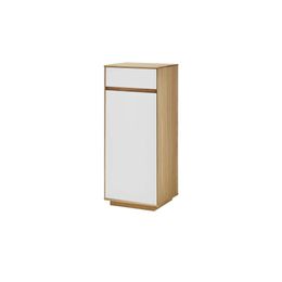 M&ouml;bel Kraft Mehrzweckschrank wei&szlig; Ma&szlig;e (cm): B: 44 H: 103 T: 37.0 &raquo; M&ouml;bel Kraft