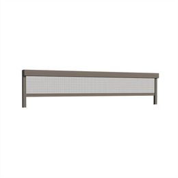 Au&szlig;enrollo 280 cm, Kasten und F&uuml;hrungsschiene Quarzgrau, Tuchfarbe Hellgrau, 2800 x 600 mm, Tuch lichtdurchl&auml;ssig, individuell konfigurieren