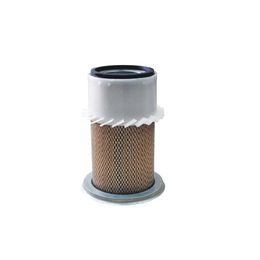 FILTRON Luftfilter am4193
