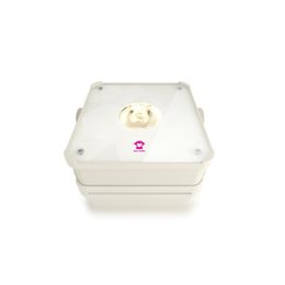 APE Labs ApeLight Mini V2 - Single Unit - creme (cable version)