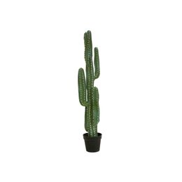 EUROPALMS Mexikanischer Kaktus, Kunstpflanze, gr&uuml;n, 123cm