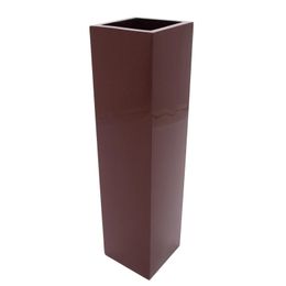 EUROPALMS LEICHTSIN BOX-120, rot, gl&auml;nzend