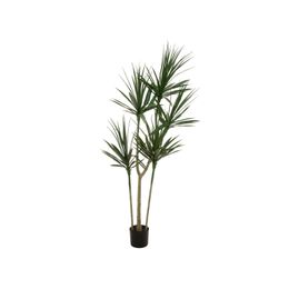 EUROPALMS Dracena, Kunstpflanze, gr&uuml;n, 170cm - Drachenbaum