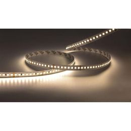 Artecta Cartago Ribbon 2835 - 160 - CCT