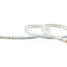 Artecta Cali Tube 2835 - 72 - CCT