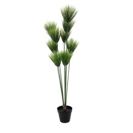 EUROPALMS Papyrus, 150cm - Kunstpflanze