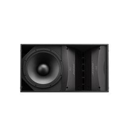 Bose ArenaMatch AM20/80 Outdoor Lautsprecher - einzeln