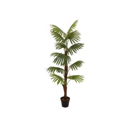 EUROPALMS F&auml;cherpalme, Kunstpflanze, 155cm