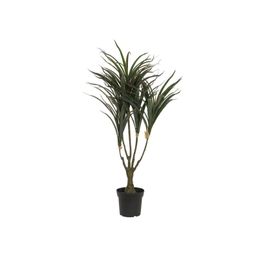 EUROPALMS Dracena, gr&uuml;n-rot, 90cm, Kunstpflanze