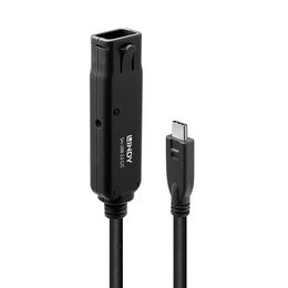 Lindy 5m USB 3.2 10Gbit/s C/C Aktivverl&auml;ngerung Pro