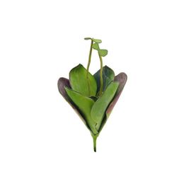 EUROPALMS Seerose (EVA), geschlossen, gr&uuml;n, 45cm, Kunstpflanze