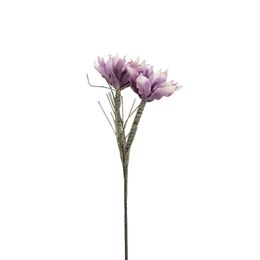 EUROPALMS Magnolienzweig (EVA), violett - Kunstpflanze