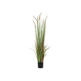 EUROPALMS Lampenputzergras, 120cm - Kunstpflanze