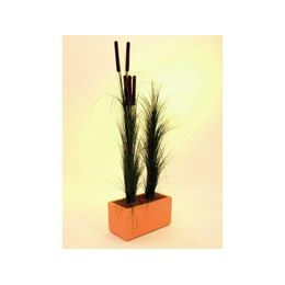 EUROPALMS Schilfgras dunkelgr&uuml;n mit Rohrkolben 152cm, Kunstpflanze