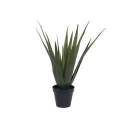 EUROPALMS Aloe-Vera Pflanze, 60cm - Kunstpflanze