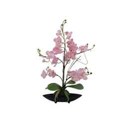 EUROPALMS Orchideenarrangement EVA, lila - Kunstpflanze