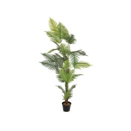 EUROPALMS Areca Palme, Kunstpflanze, 180cm