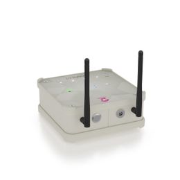 APE Labs CONNECT - creme