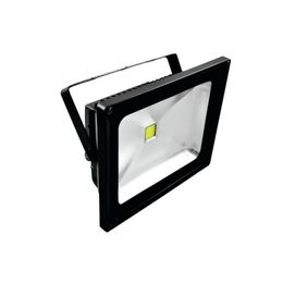 Eurolite LED IP FL-50 COB UV 50W Outdoor Fluter IP65