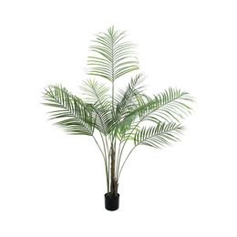 EUROPALMS Gro&szlig;blatt-Areca, 185cm - Kunstpflanze