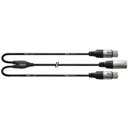Cordial INTRO CFY 0,3 MFF, 0,3 m, REAN XLR male / 2 x XLR female