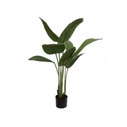 EUROPALMS Strelitzie, Kunstpflanze, 110cm