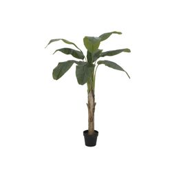 EUROPALMS Bananenbaum, 145cm - Kunstpflanze