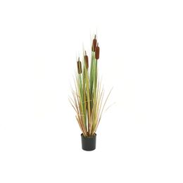 EUROPALMS Rohrkolben, Kunstpflanze, 150cm