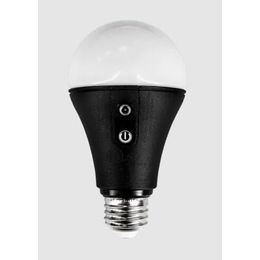 Astera FP5-B - NYX Bulb 10W RGBAM E27, LumenRadio - IP44- 1 Pixel, schwarz