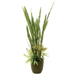 EUROPALMS Sukkulenten-Mix 190cm Kunstpflanze
