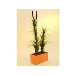 EUROPALMS Schilfgras dunkelbraun mit Rohrkolben 152cm, Kunstpflanze