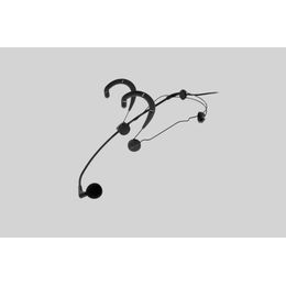 Shure WBH54B Kondensator Headset schwarz / kugel