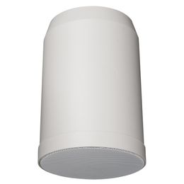DAP-Audio DAP HS-510P - Zylindrischer, passiver 5"-H&auml;ngelautsprecher - wei&szlig;