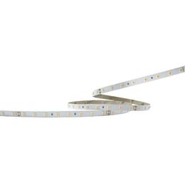 Artecta Cartago Dropper 2835 - 64 - CCT