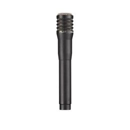 Electro-Voice PL37, Overhead-Mikrofon, Kondensator, Niere