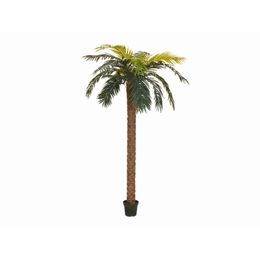 EUROPALMS Ph&ouml;nix Palme deluxe, Kunstpflanze, 250cm